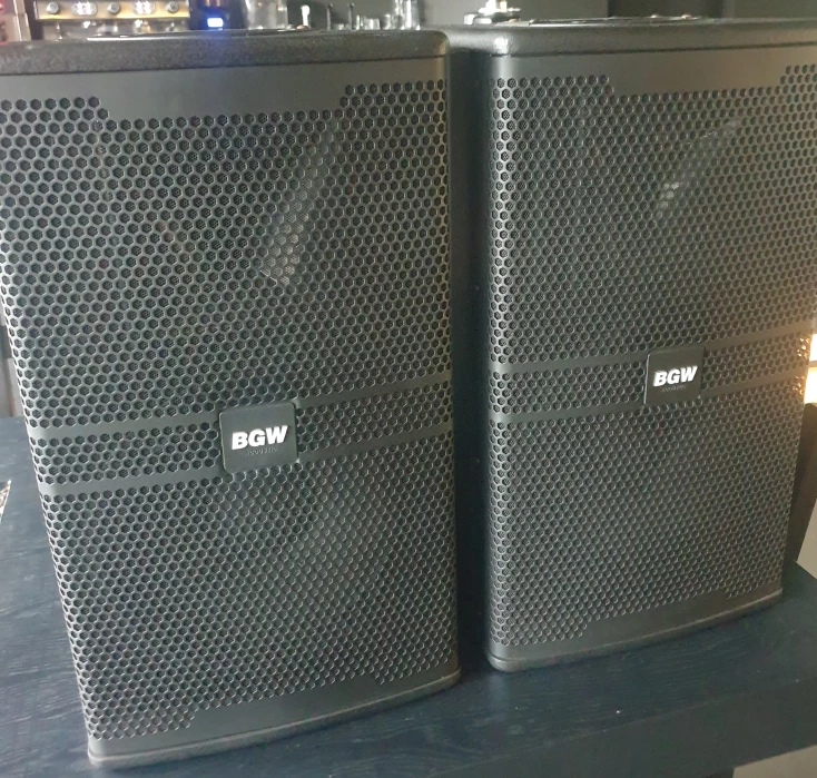 BGW NP4000스피커판매 | 당근 중고거래