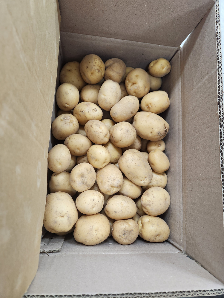 (1box) 감자 10kg | 당근 중고거래