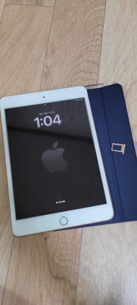 아이패드 미니5 64G 셀룰러 | 당근 중고거래