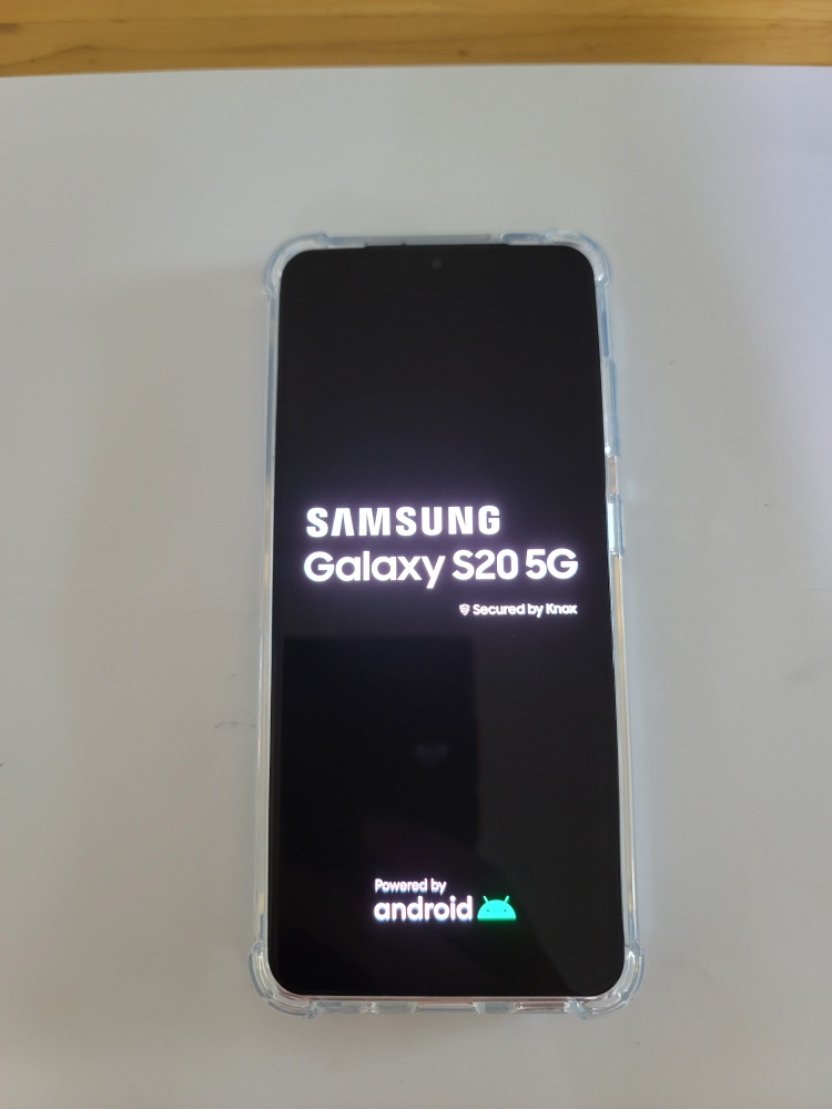 S20 A급 128g 21만원 | 당근 중고거래