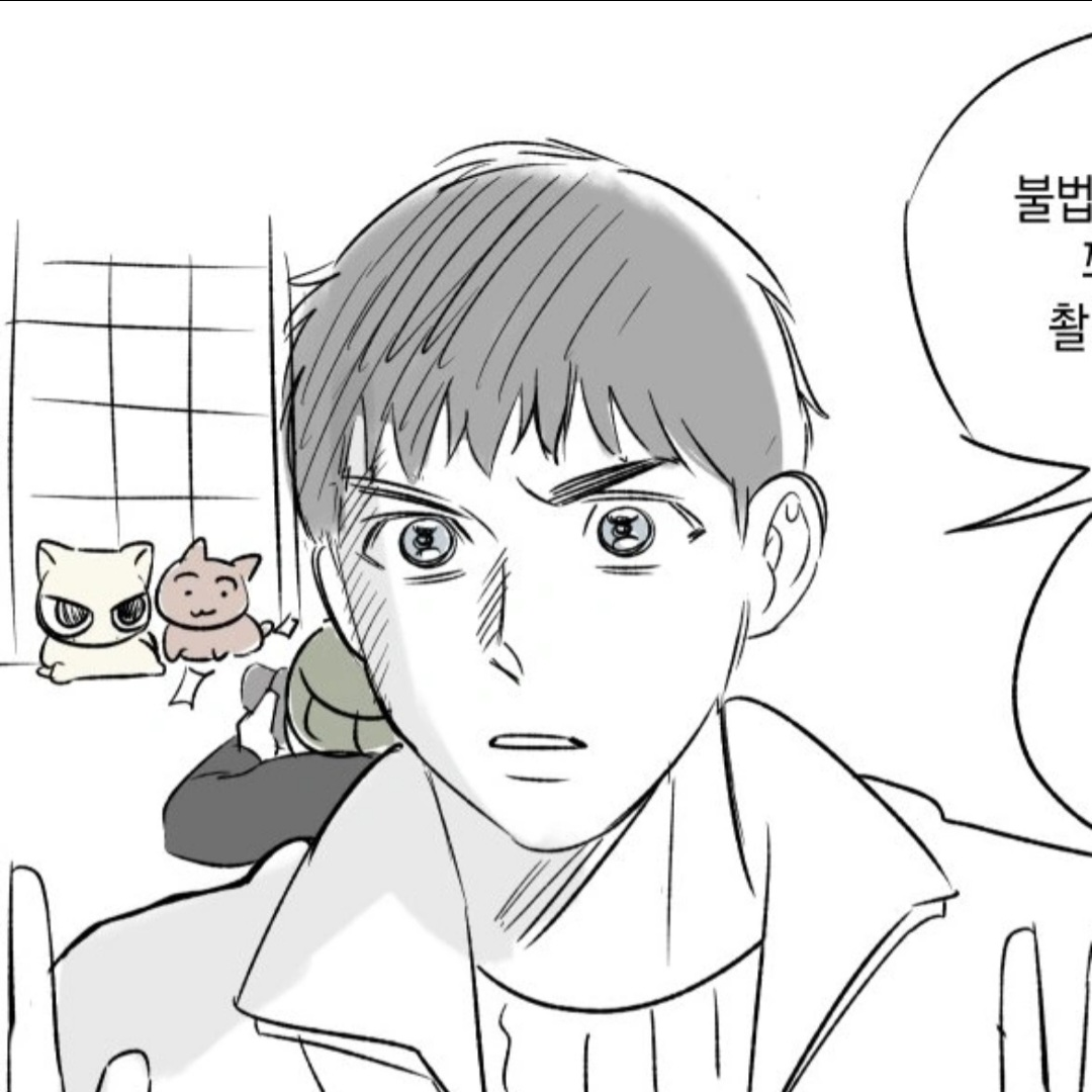 완판 당근 중고거래