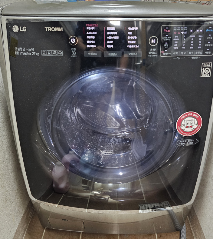 Lg전자 21kg 세탁기 9kg 당근 중고거래