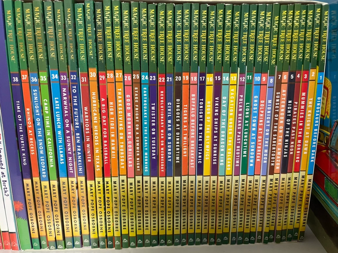 매직트리하우스 세트 magic tree house 38권+워크북1권/영어원서 | 도서 | 당근 중고거래