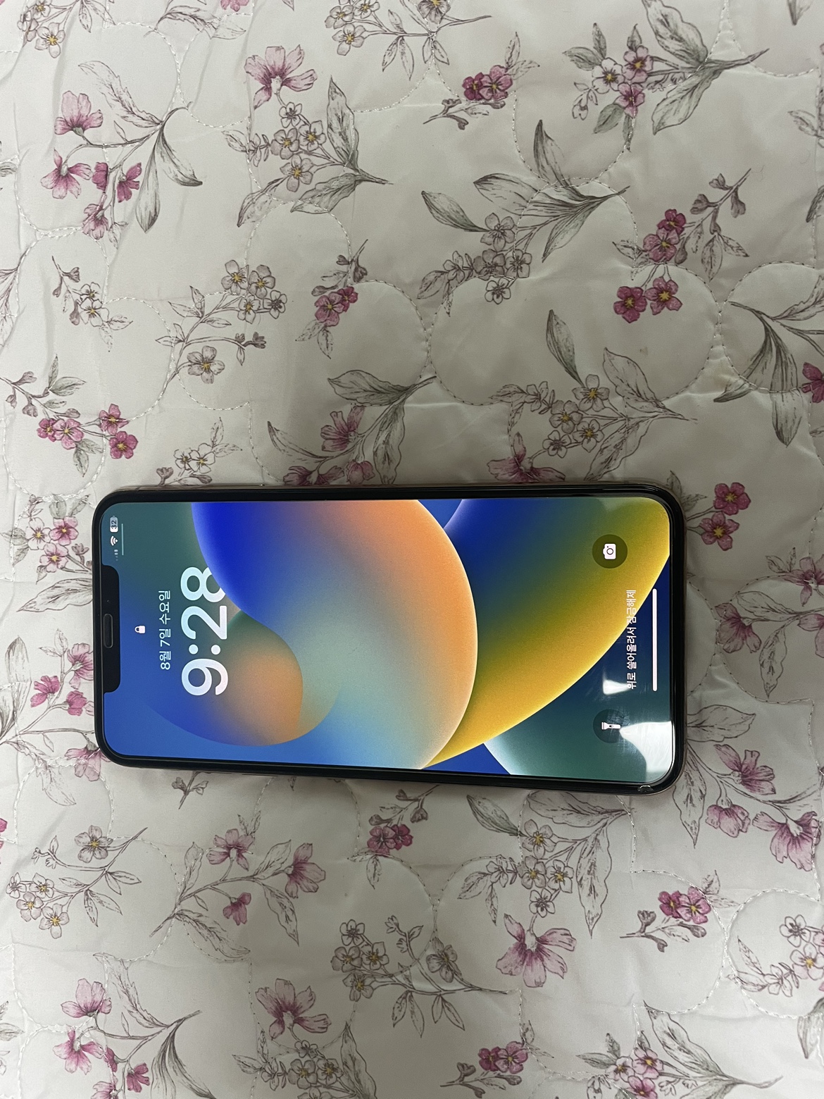 xs max 64g | 당근 중고거래
