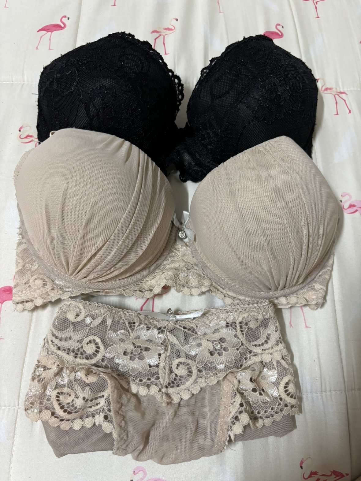 속옷 75D 모아줍니당 | 당근 중고거래