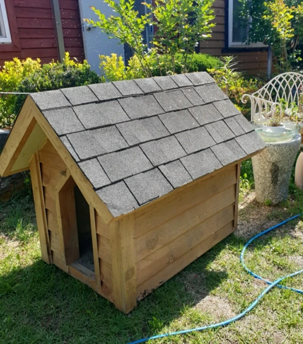 마당.또는 정원있는분 중견.대견 | 기타 중고물품 | 당근 중고거래