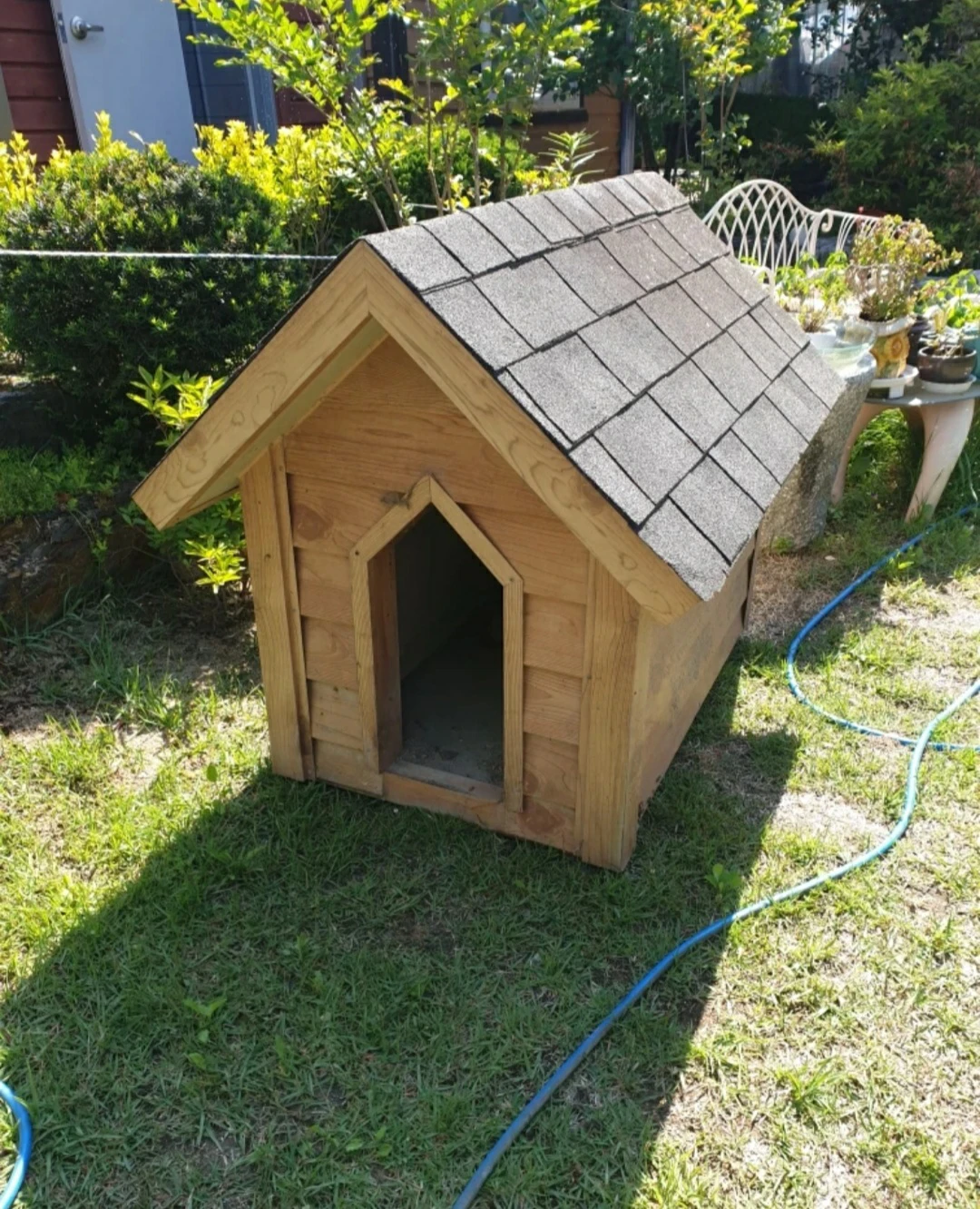 마당.또는 정원있는분 중견.대견 | 기타 중고물품 | 당근 중고거래